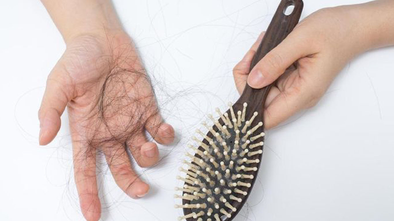 rambut rontok, solusi rambut rontok, tes kesehatan rambut, rambut normal